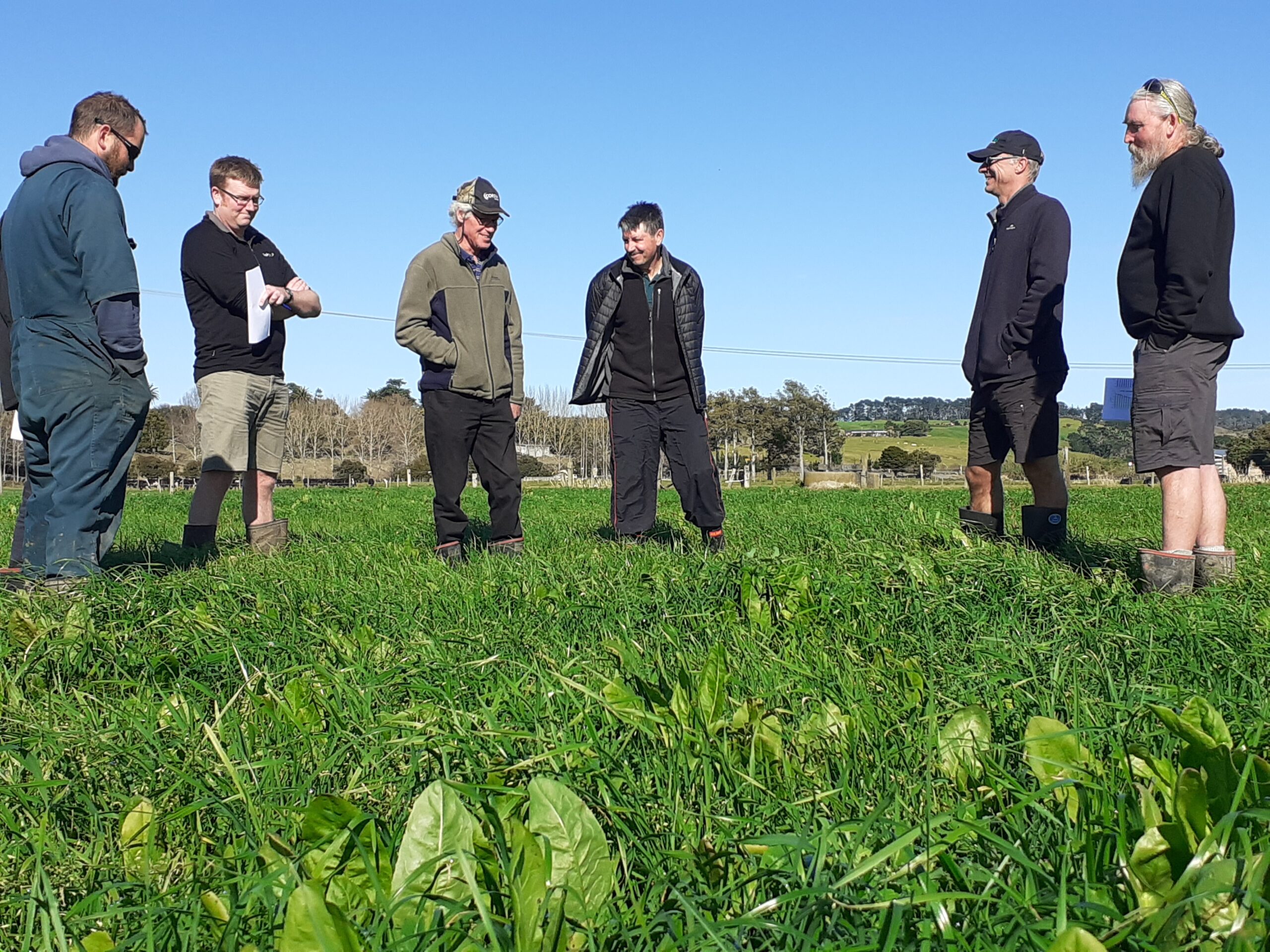Future Farming Systems All Fortnightly Updates - Northland Dairy ...